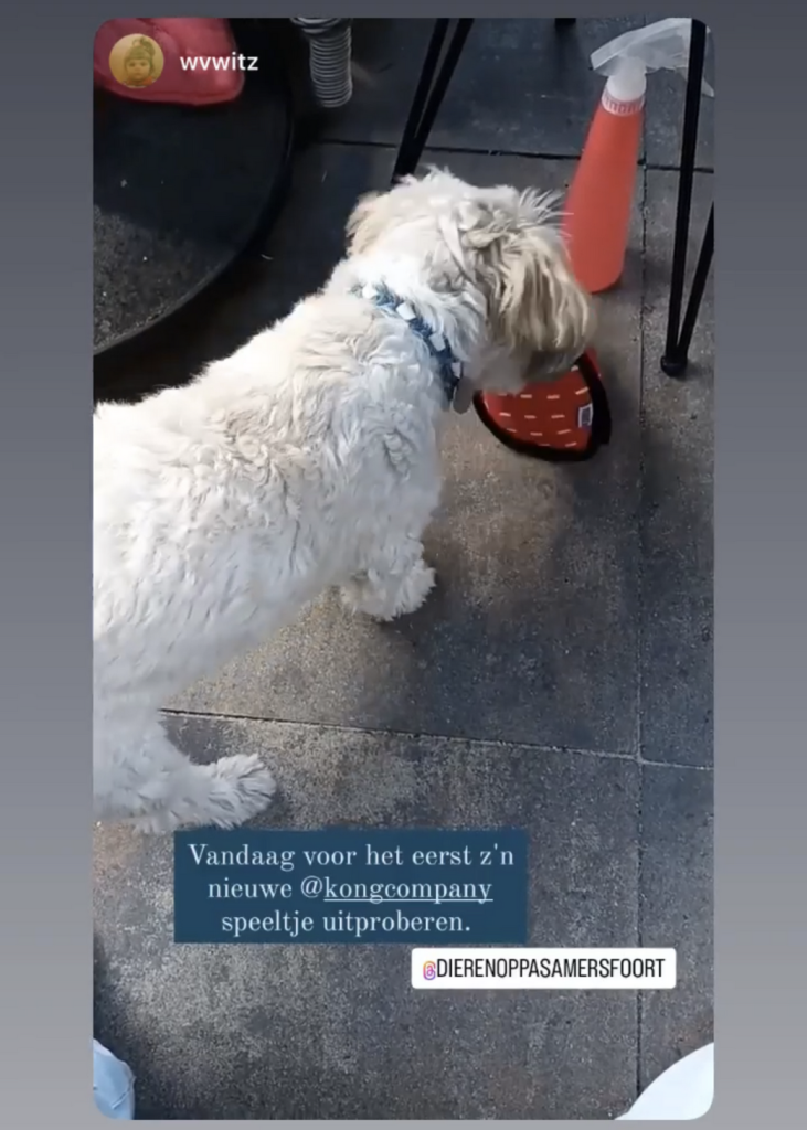 KONG Lotus Bal bestellen | Beste Hondenbal voor snoepjes