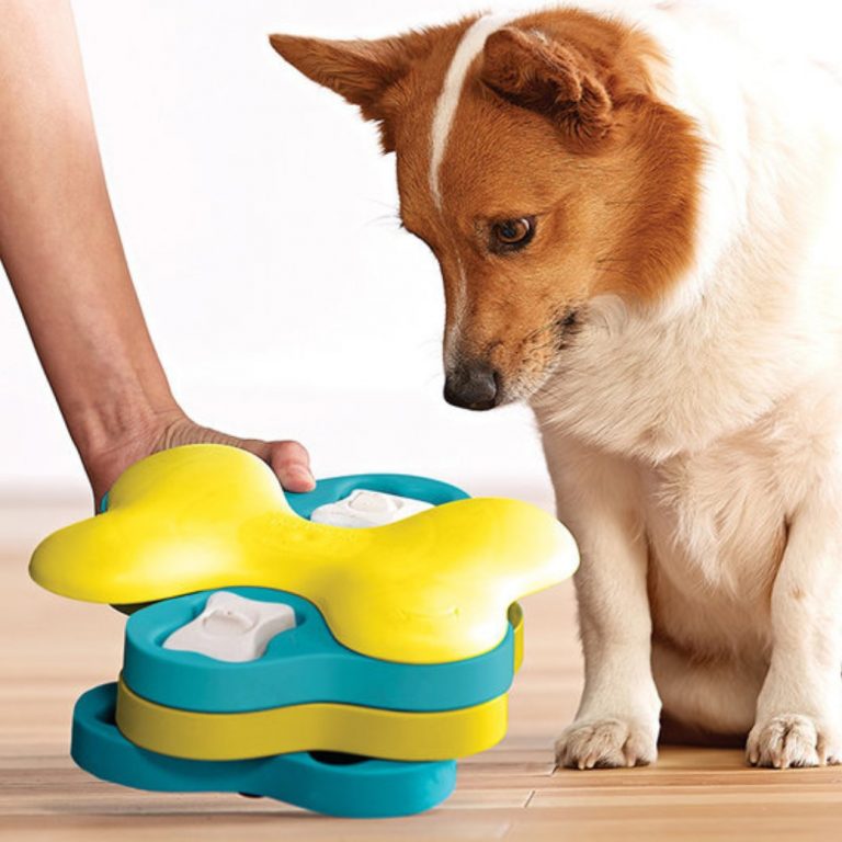 KONG Lotus Bal bestellen | Beste Hondenbal voor snoepjes