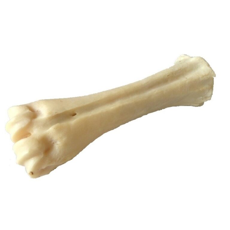 Nieuw! Hard calciumbeen (bot) voor de hond • Bestel goedkoop!