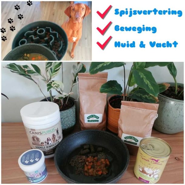 Potje vol gezonde Groente & Fruit (voorgekookt) voor je Hond