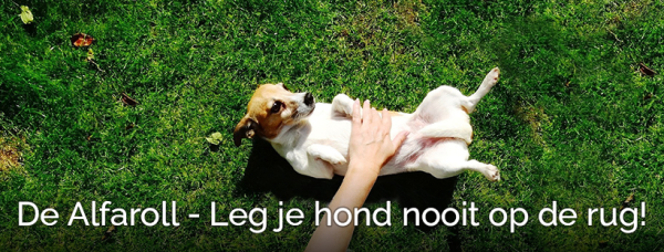 Waarom je je hond absoluut niet op de rug of zij moet leggen!