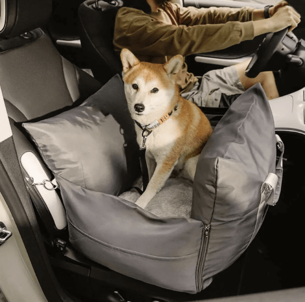 Wat is écht een goede Auto Hondenmand? Geteste aanraders!