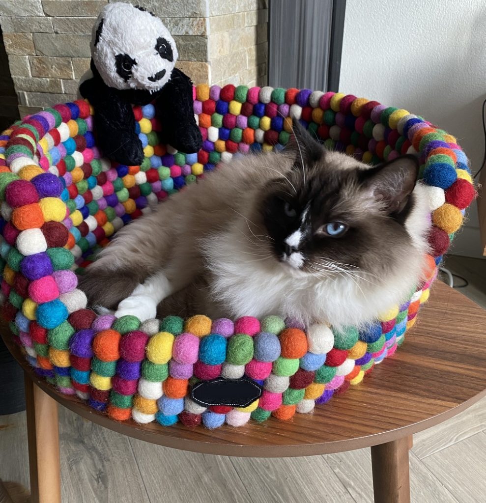 100% wollen vilten honden- & kattenmandje uit Nepal