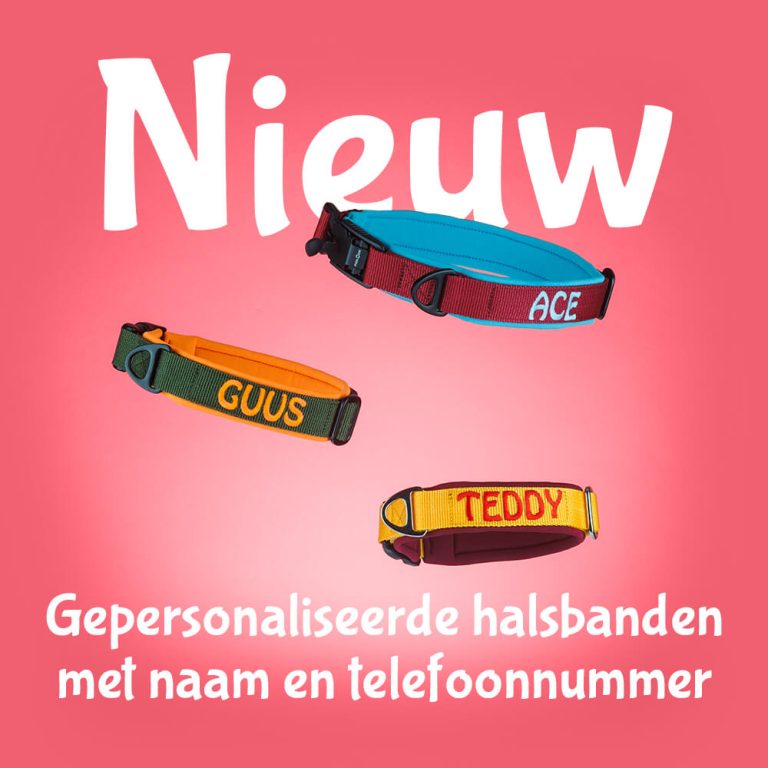Ontwerp je eigen Halsband | Hond | Naam & Telefoonnummer