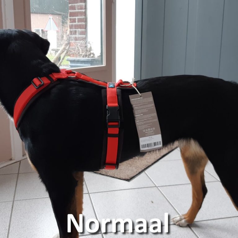 Anny-X Limited Edition tuigjes bestellen? Allerlei kleuren & maten!