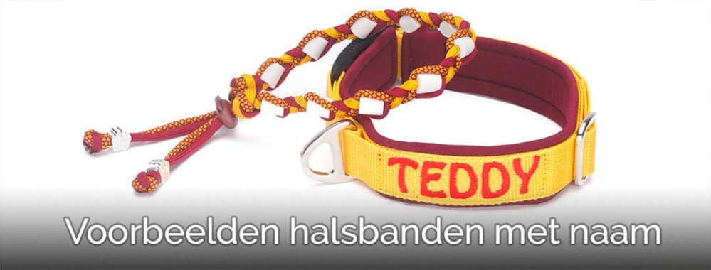Voorbeelden Halsbanden Hond met Naam (en Telefoonnummer)