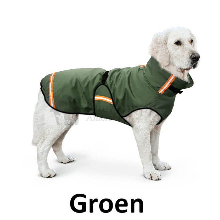 Softshell waterafstotende Regenjas Hond (herfst/lente) bestellen?