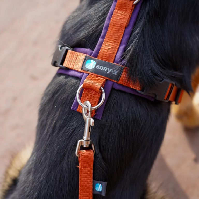 Anny-X Limited Edition tuigjes bestellen? Allerlei kleuren & maten!