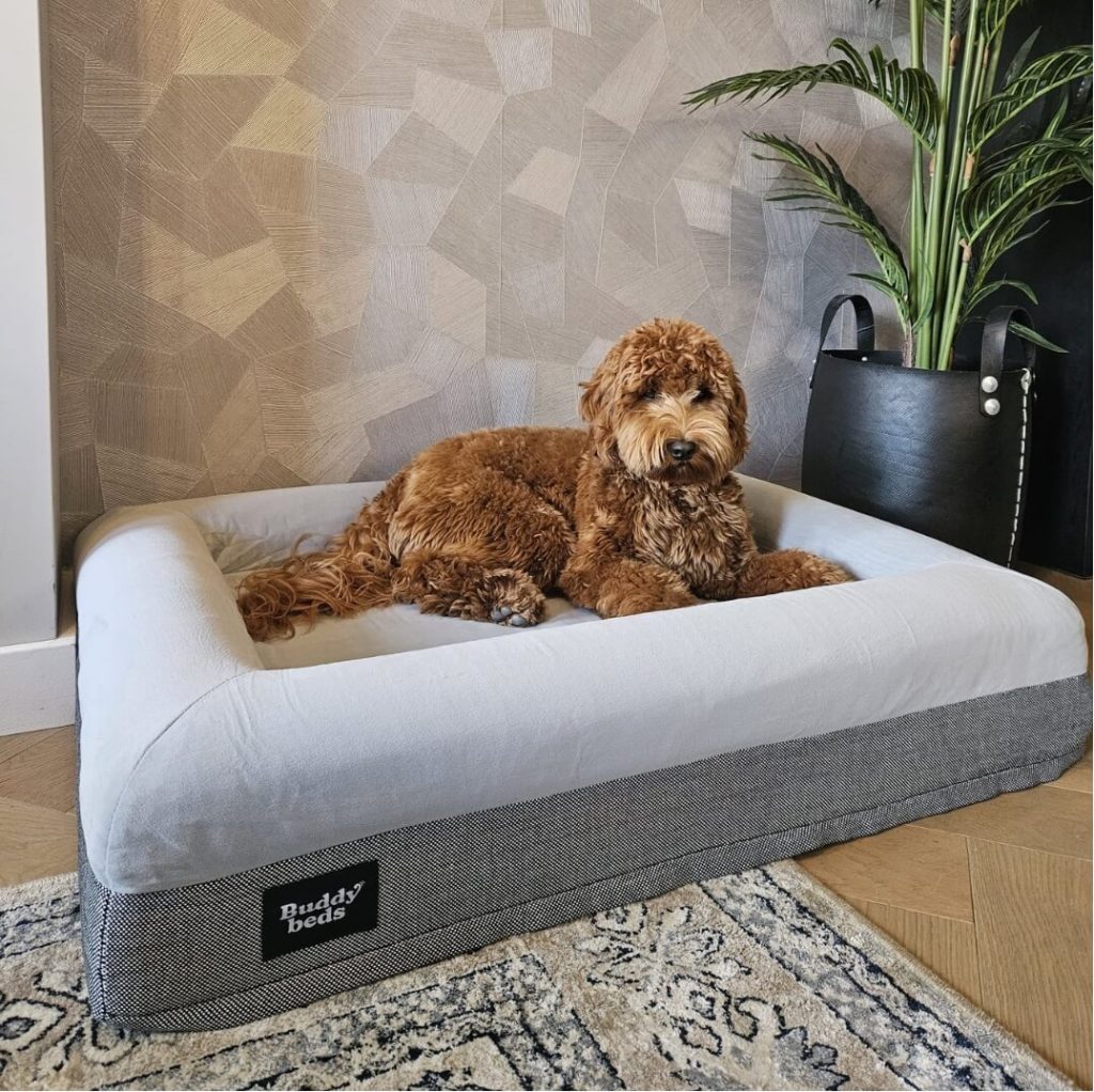 Nr 1 Beste Hondenmand voor op de bank (Sofamand Hond)