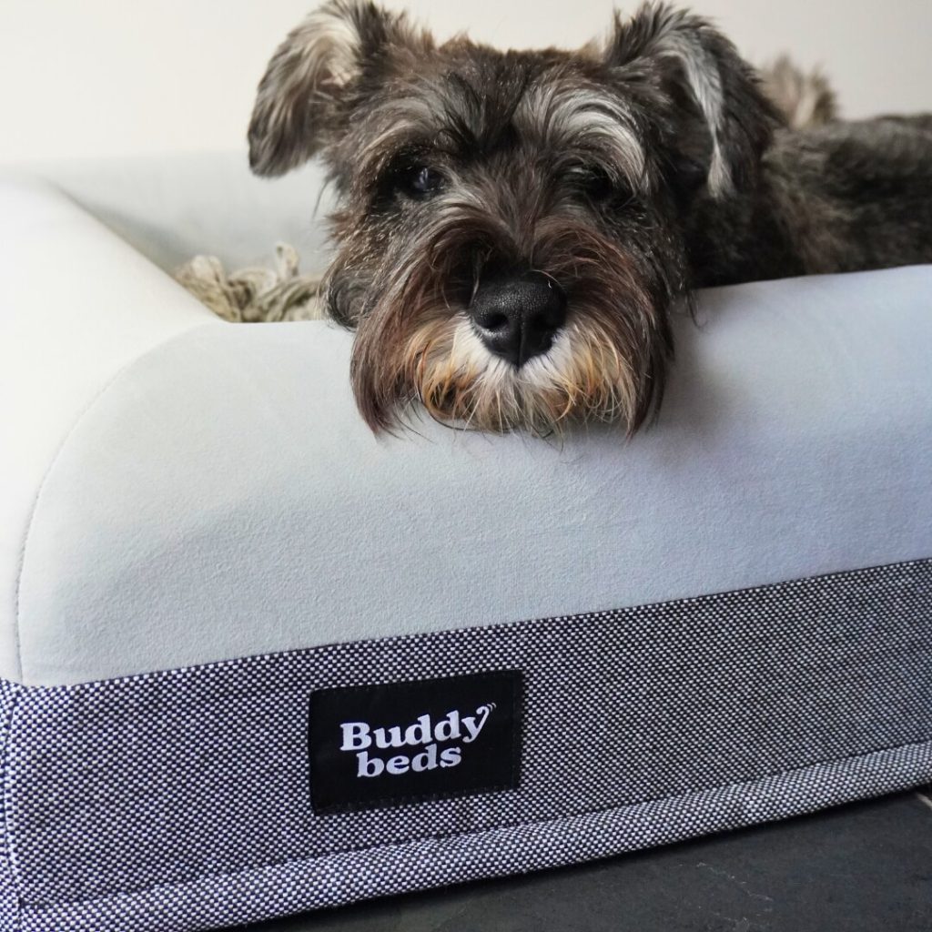 Luxe Orthopedische hondenmanden (Buddy Beds) kopen?